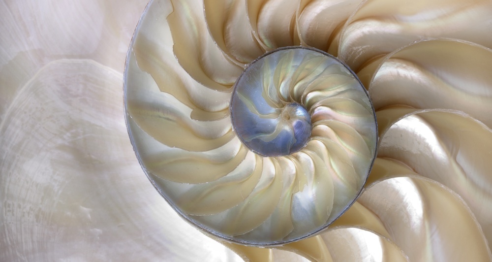 Cash shells are becoming the hot way to IPO - Growth Business